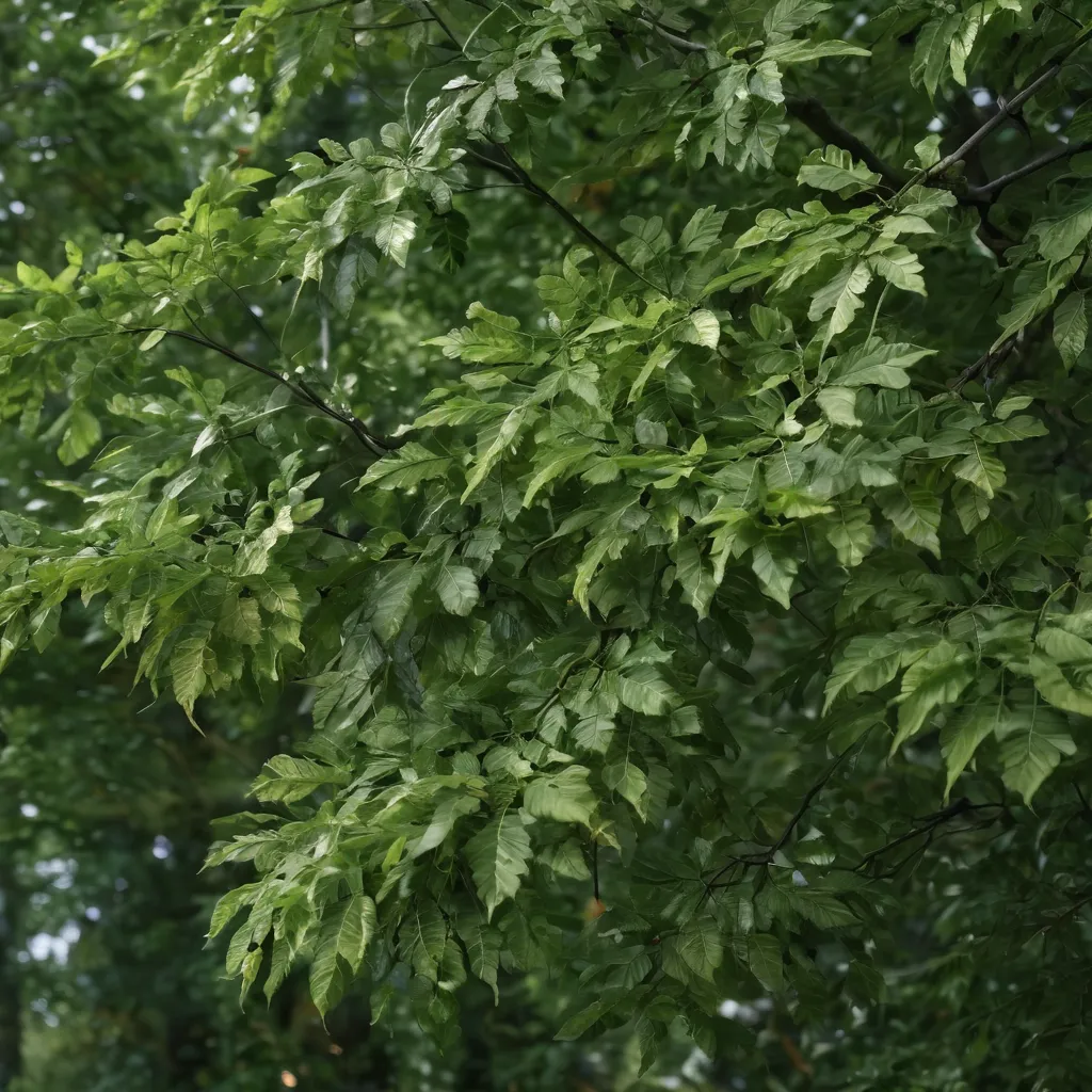 Disease Resistant Elm Trees in Modern Arboriculture